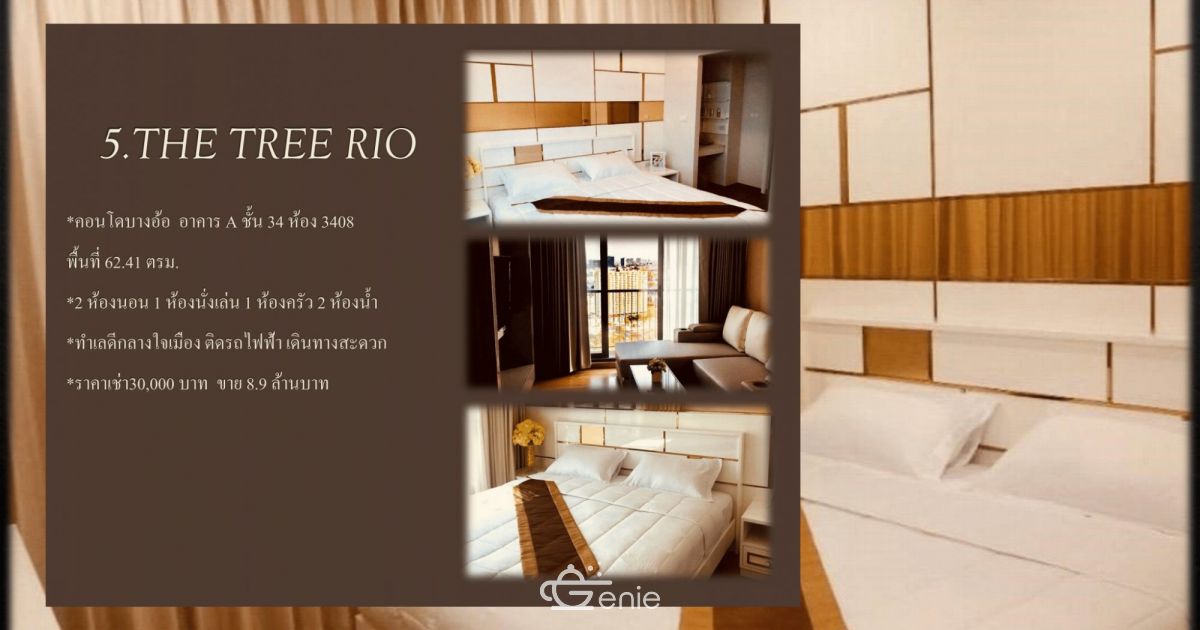 The Tree RIO (Bang-Aor Station )